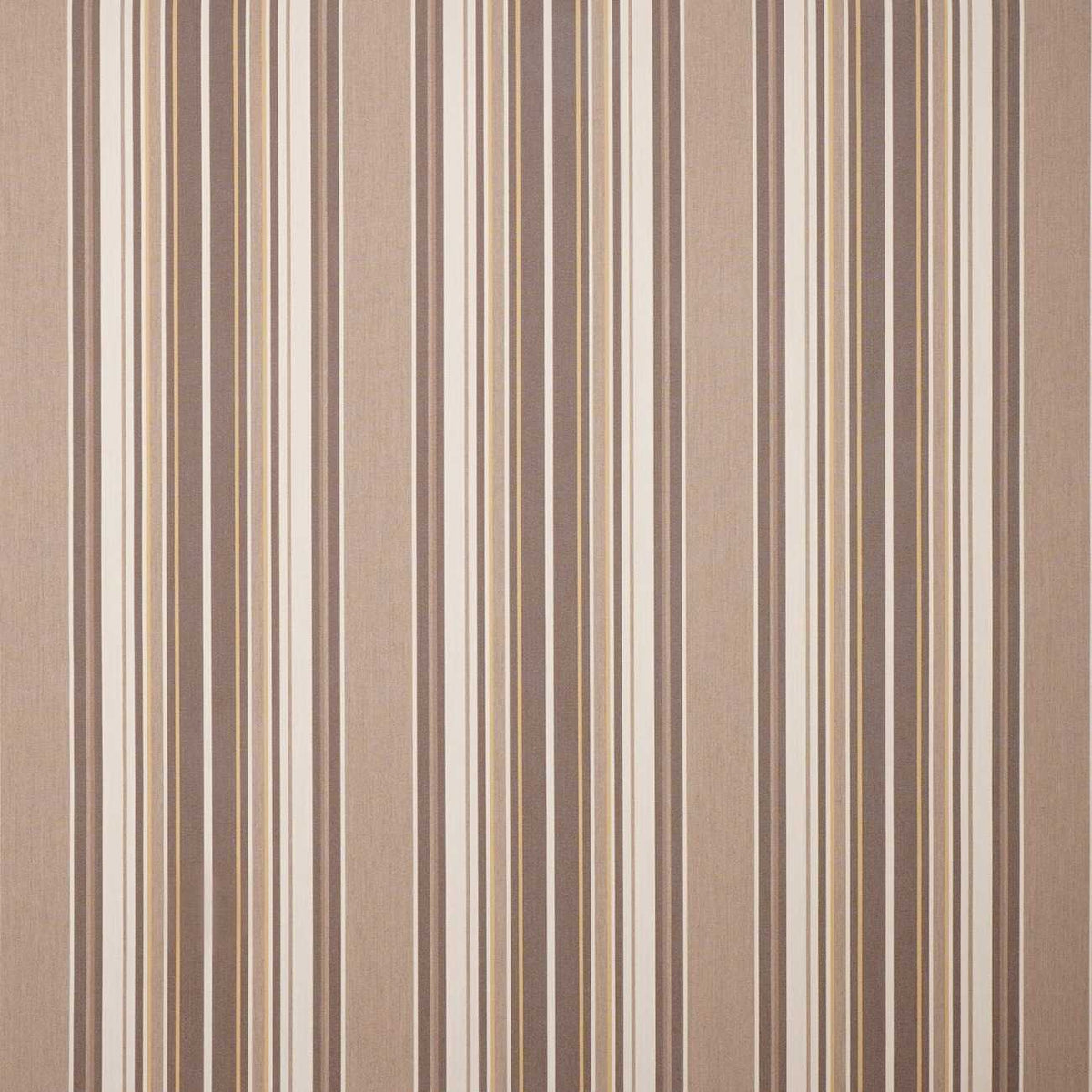 Sample of Sunbrella Westfield Mushroom 4817-0000 46-Inch Stripes Awning ...
