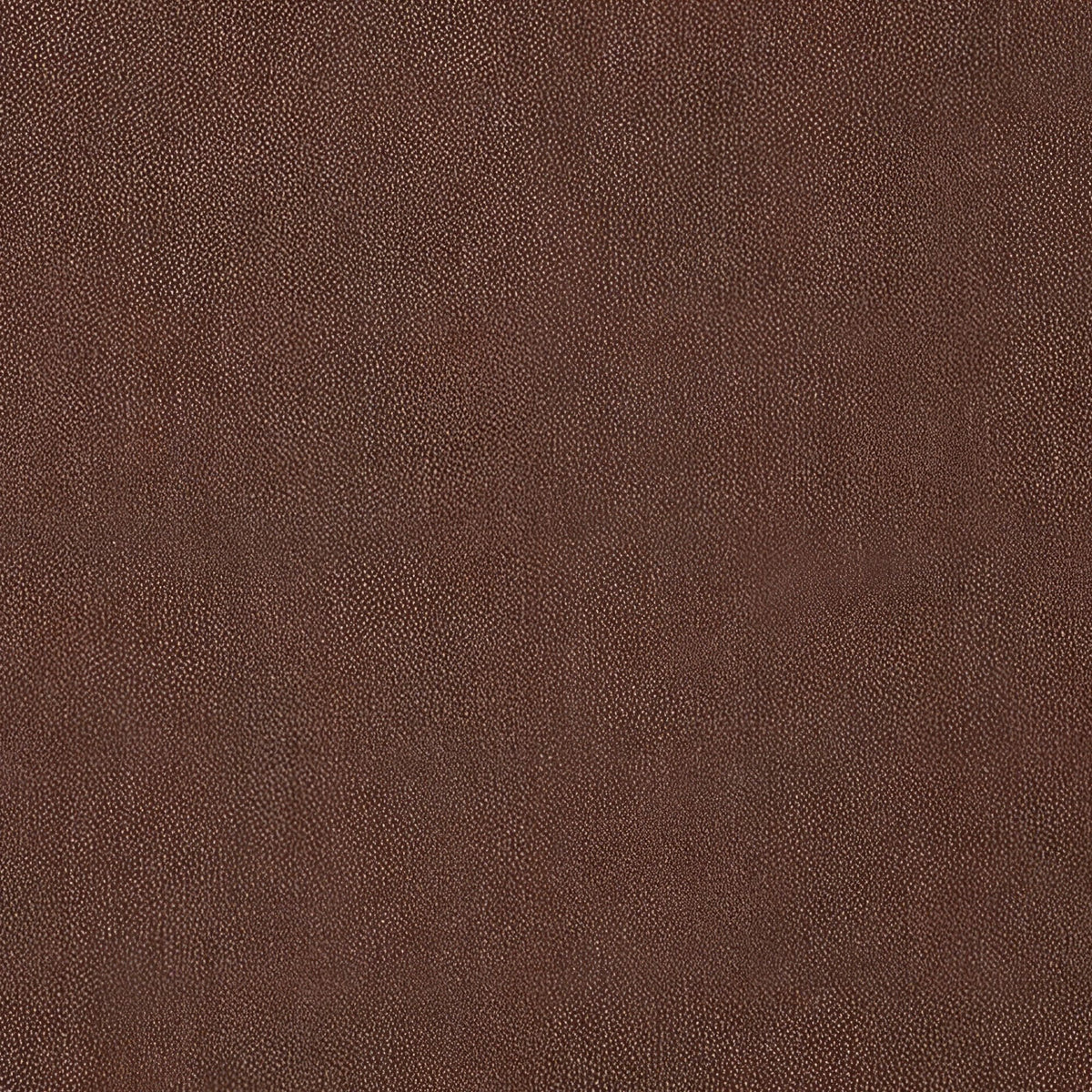 Sunbrella Makers Collection Cast Sable 48097-0000 Upholstery Fabric ...
